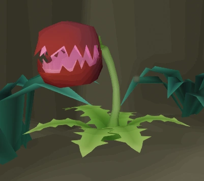 Snapper (Carnivorous Plant) | FlyKnight Wiki | Fandom
