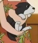 Den | Fullmetal Alchemist Wiki | Fandom