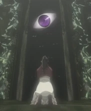 Eye of God | Fullmetal Alchemist Wiki | Fandom