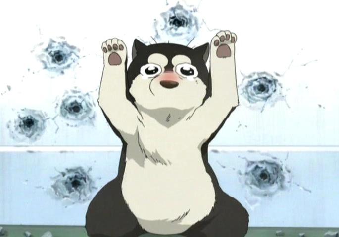 Fullmetal Alchemist Riza Hawkeye And Dog