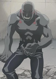 Codicia | Fullmetal Alchemist Wiki | Fandom