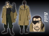Bald | Wiki Fullmetal Alchemist | Fandom