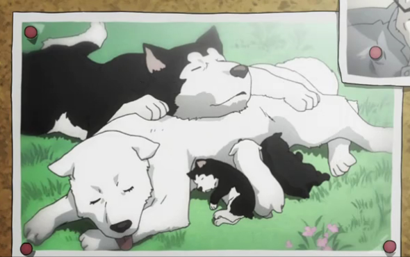 Riza Hawkeye And Black Hayate