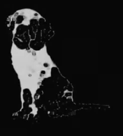 Captain | FNaF fan comics Wiki | Fandom