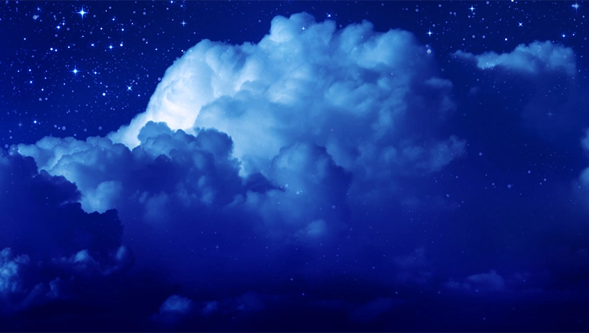 Foxy Fighters | FNAF World Simulator Wikia | Fandom