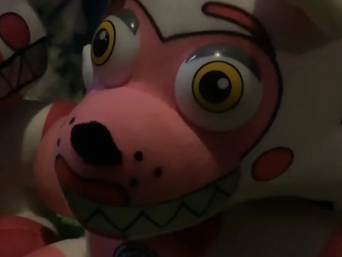Funtime foxy | FNAFPlushworld Wiki | Fandom