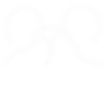 Greg Mac Lochlainn | Chaos at Treasure Island Wiki | Fandom
