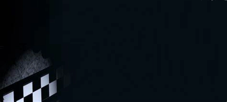 Stage | FNATI:Disneyworld Wiki | Fandom