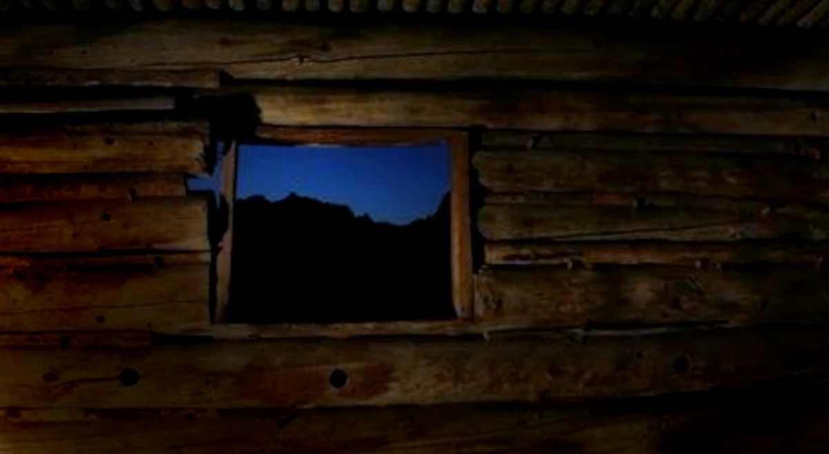 Windows | FNaW: Cabin Fever Wiki | Fandom