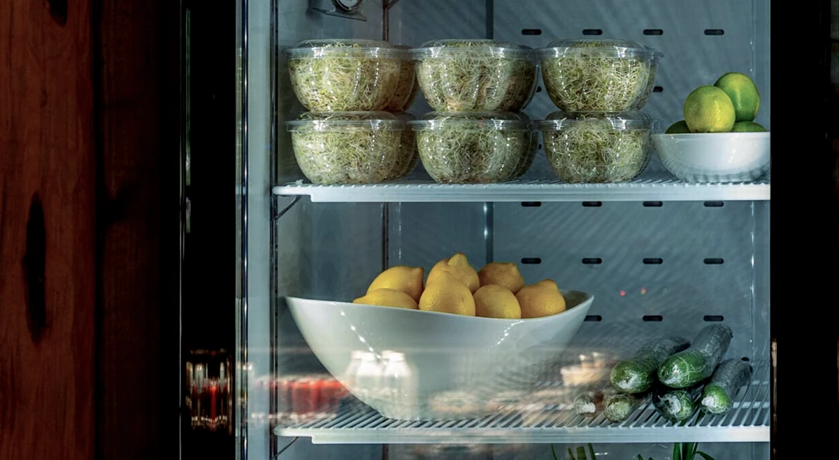 Freezer | FNaW: Cabin Fever Wiki | Fandom