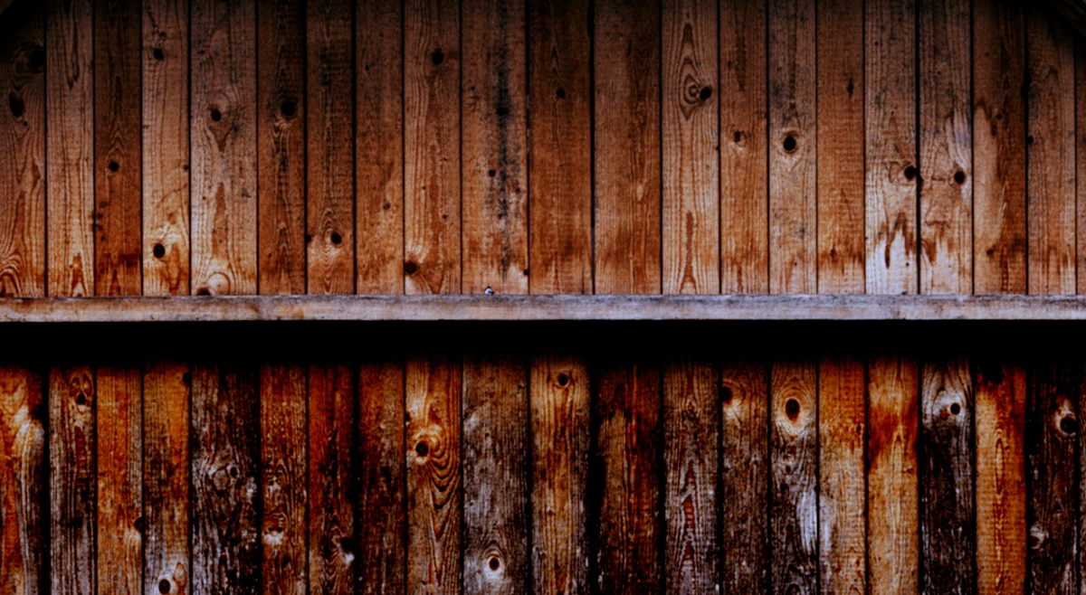 Closet | FNaW: Cabin Fever Wiki | Fandom