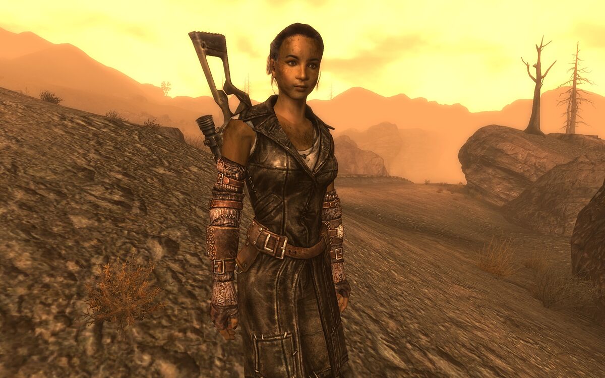 Survivors Fallout Dust Wikia Fandom