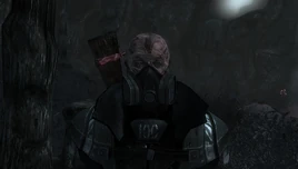 The Courier | Fallout: Dust Wikia | Fandom