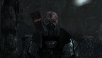 The Courier | Fallout: Dust Wikia | Fandom