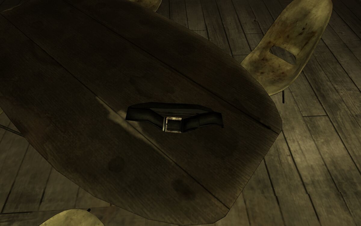 Leather Belt Fallout Dust Wikia Fandom