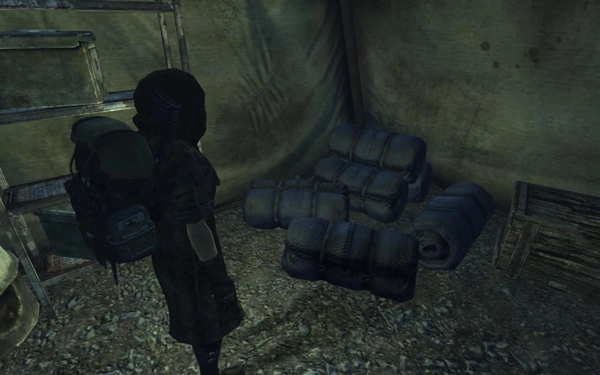 Ending (No Spoilers) | Fallout: Dust Wikia | Fandom