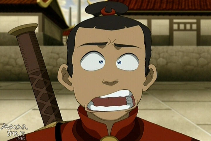 Sokka | Foamipedia Wiki | Fandom