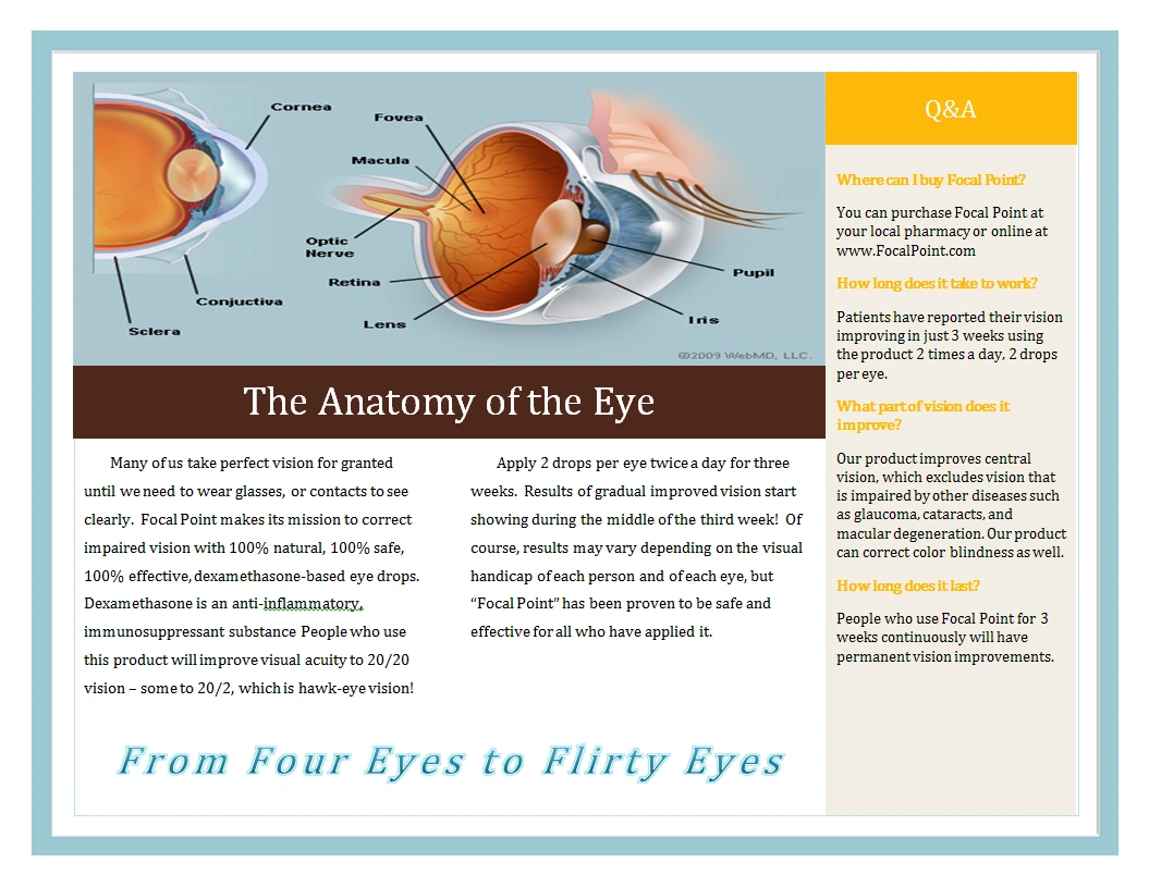 Brochure | Focal Point Wiki | Fandom