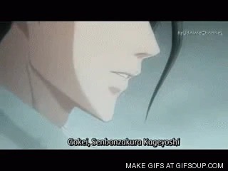 Kuchiki Byakuya | Fight of Characters Wiki | Fandom