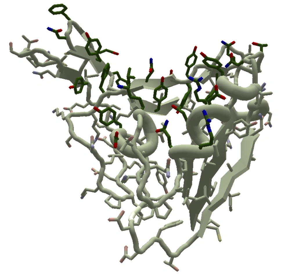 Coronavirus Spike Protein | Foldit Wiki | Fandom