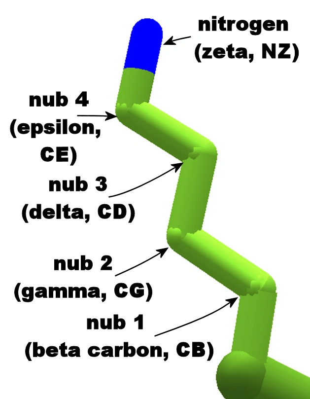 Nub | Foldit Wiki | Fandom