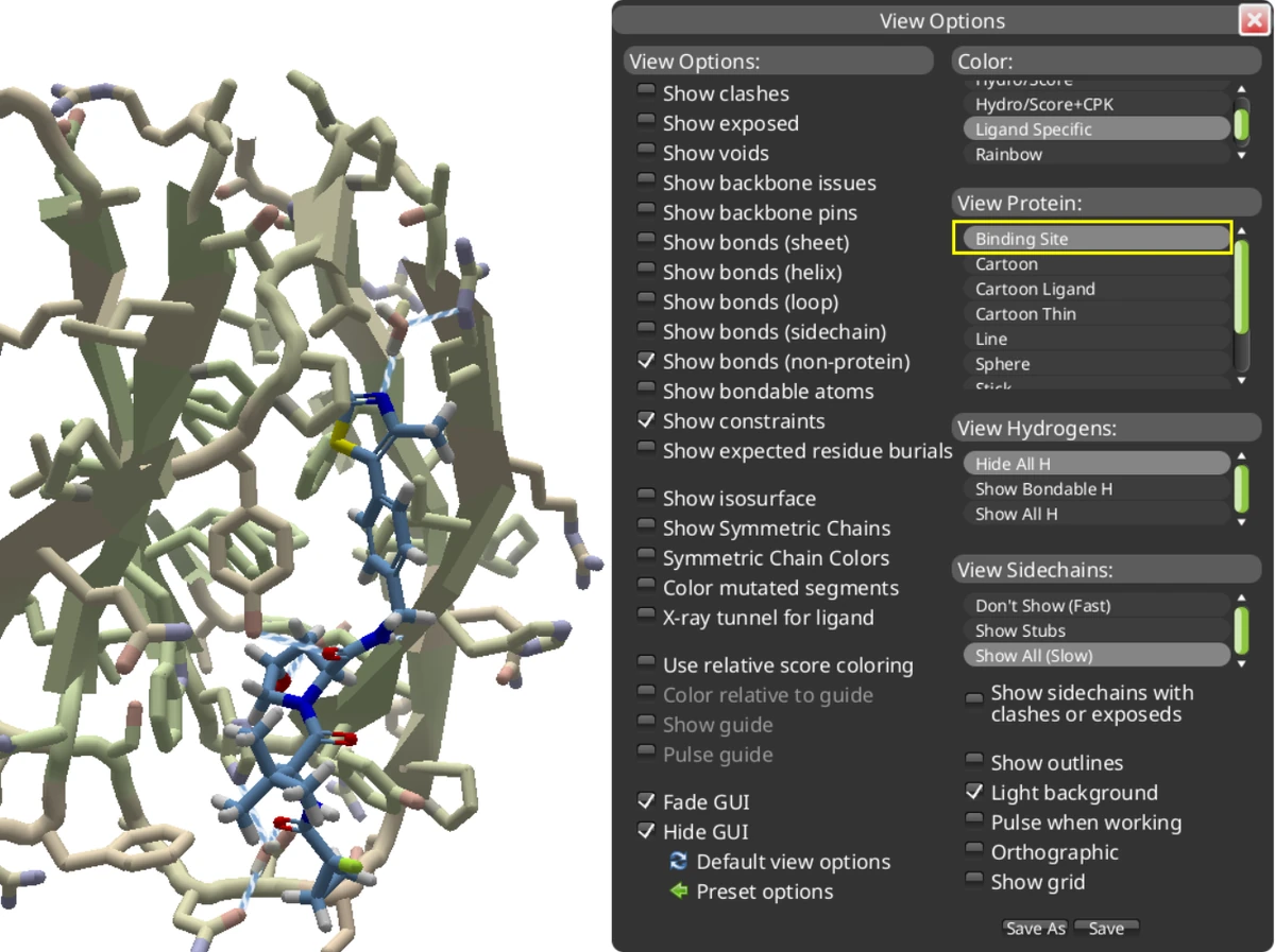 View options/View Protein/Binding Site | Foldit Wiki | Fandom