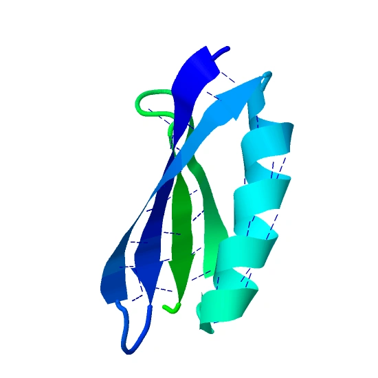Streptococcal Protein | Foldit Wiki | Fandom