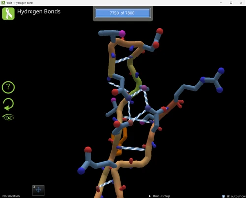 Education/Hydrogen Bonds | Foldit Wiki | Fandom