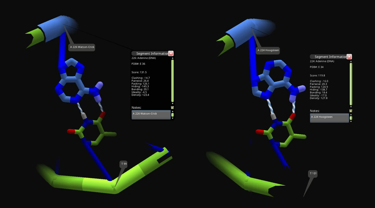Hoogsteen base pair | Foldit Wiki | Fandom