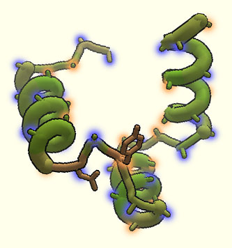 Backbone | Foldit Wiki | Fandom