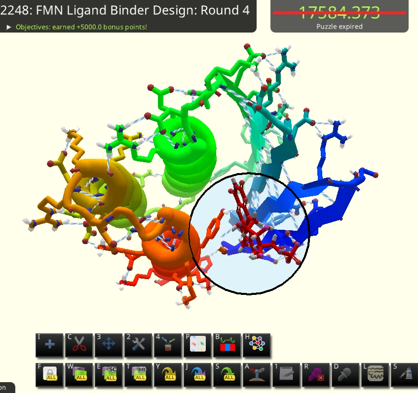 Puzzle 2248 | Foldit Wiki | Fandom