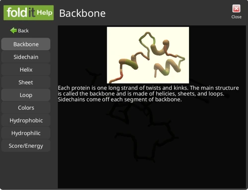 Foldit user interface/Help menu | Foldit Wiki | Fandom