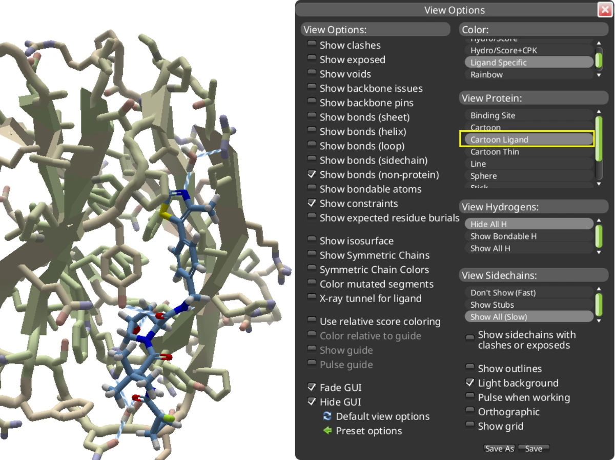 View options/View Protein/Cartoon Ligand | Foldit Wiki | Fandom