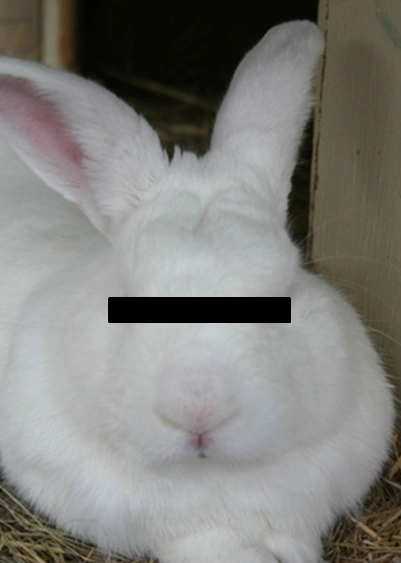 The legend of LFB | Foldit Wiki | Fandom