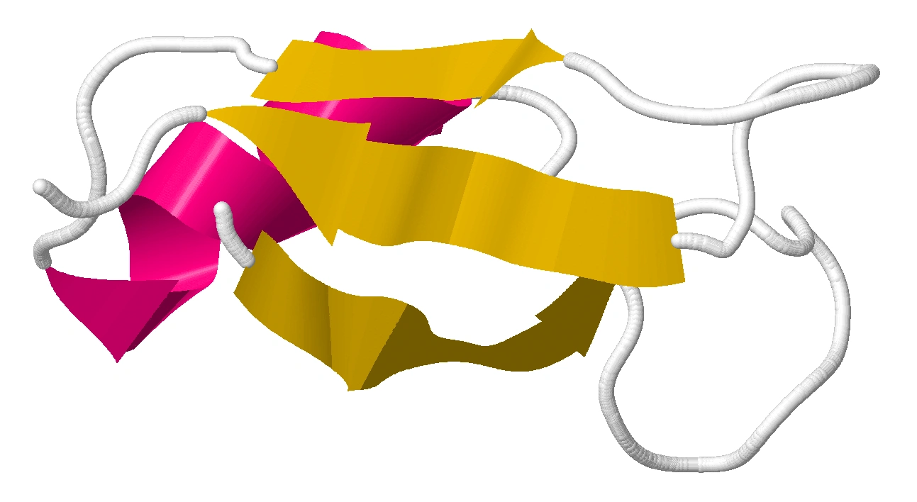 Protein Structure Cartoon