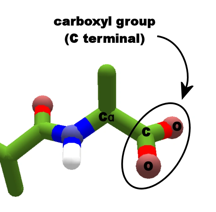 Carboxyl | Foldit Wiki | Fandom