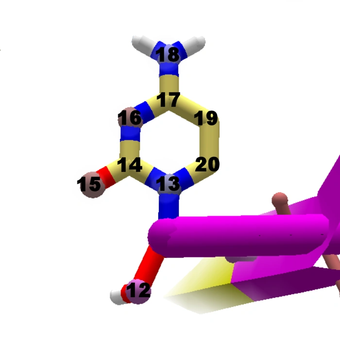 Cytosine | Foldit Wiki | Fandom