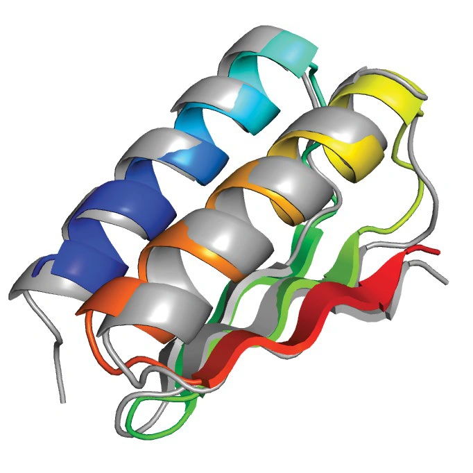 Foldit1 | Foldit Wiki | Fandom
