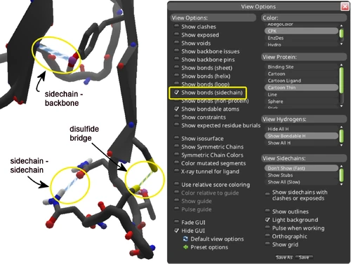 View options/Show bonds (sidechain) | Foldit Wiki | Fandom