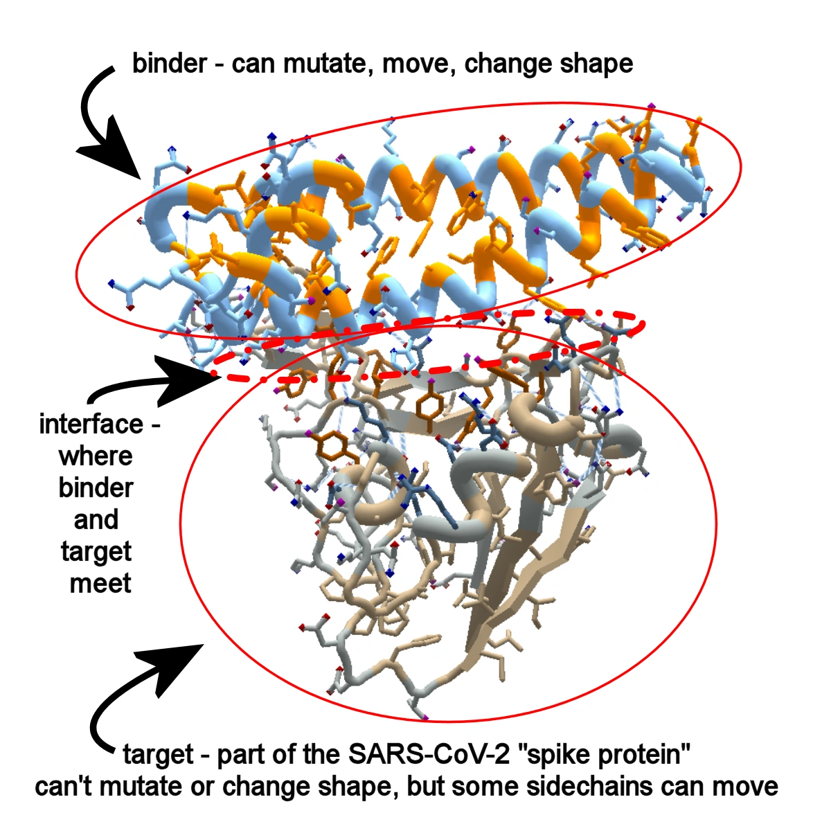 Interface | Foldit Wiki | Fandom