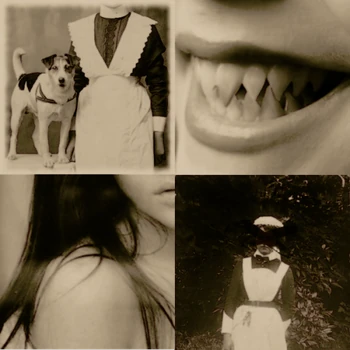 Molly | The Follypedia Wiki | Fandom