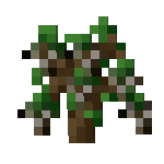 Coconut Sapling | Food Plus Wiki | Fandom