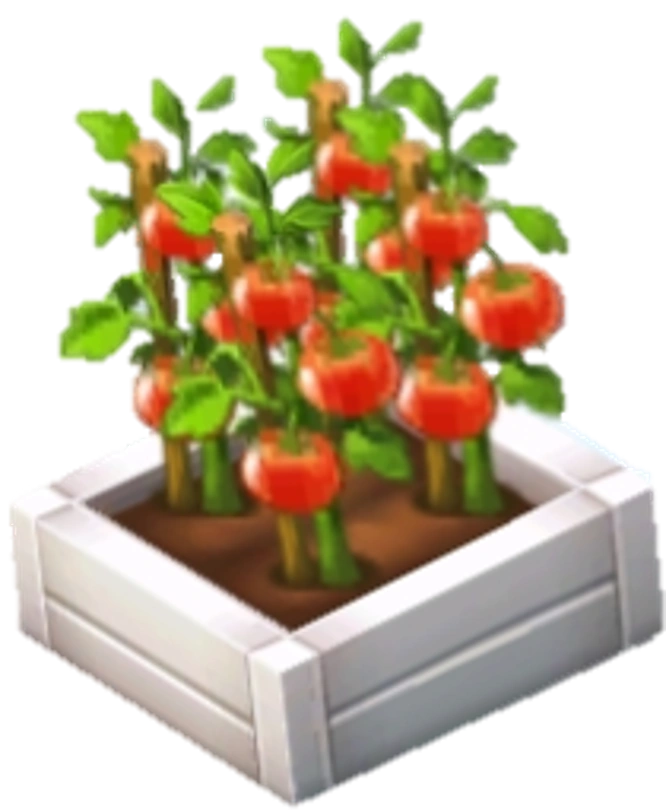 Tomato | Food Street Wiki | Fandom