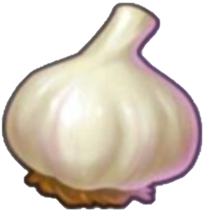 Garlic | Food Street Wiki | Fandom