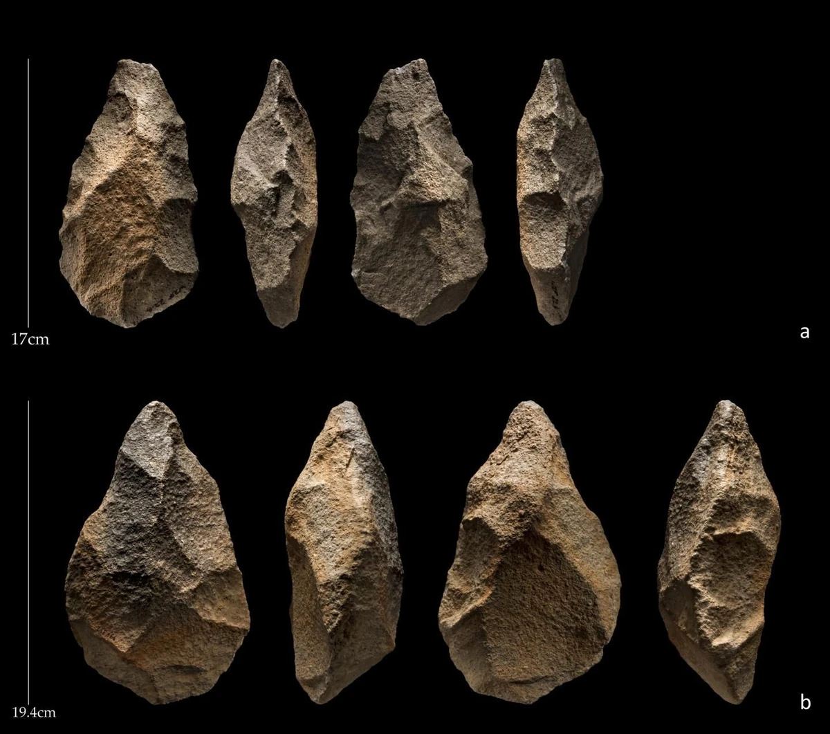 Stone Tools | Foodimals Wiki | Fandom