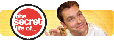 The Secret Life Of Food Network Wiki Fandom