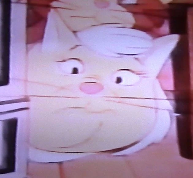 Abigail's Cats | Foofur Wikia | Fandom