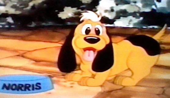 Norris | Foofur Wikia | Fandom