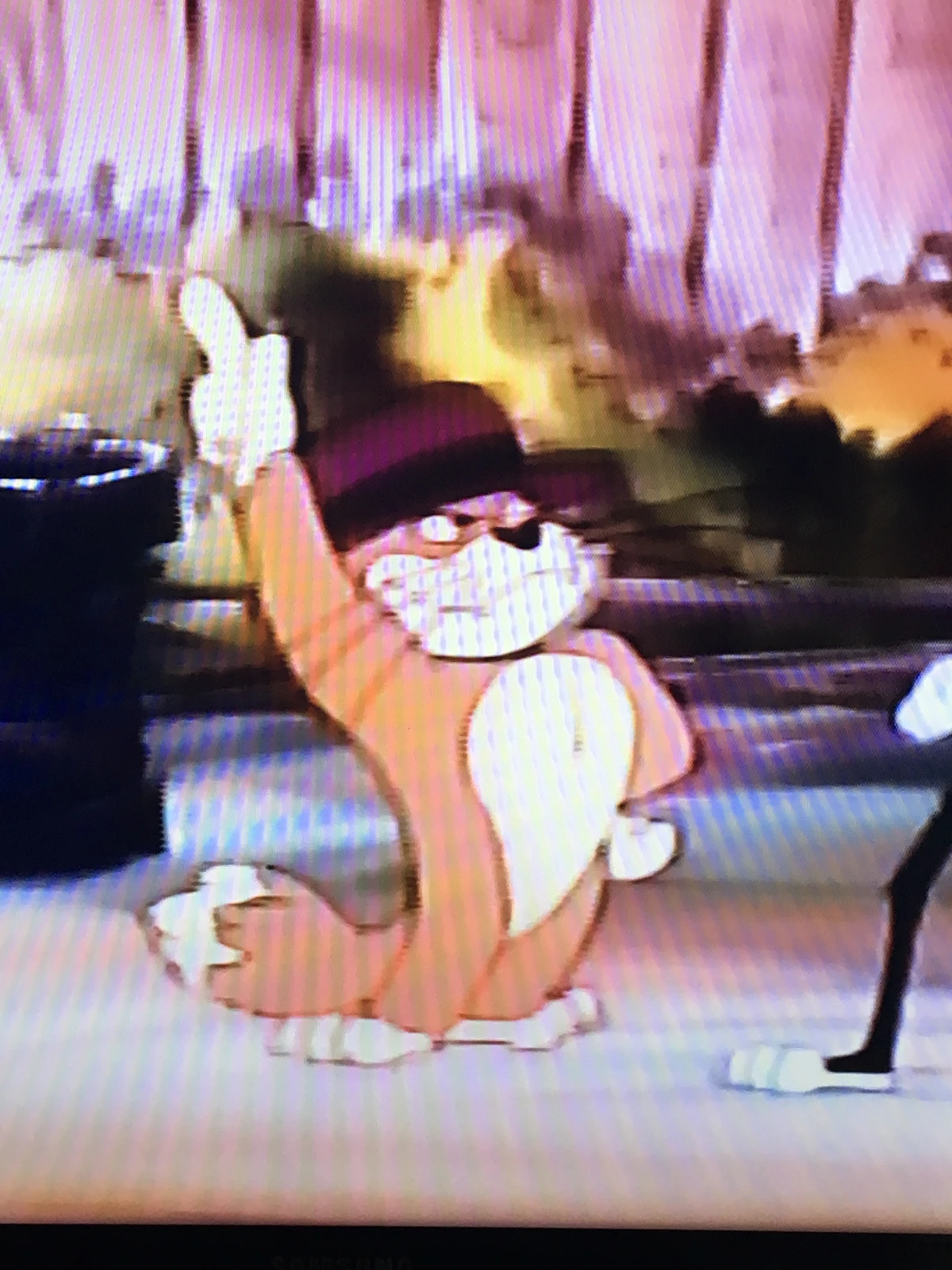 Cat Manager | Foofur Wikia | Fandom