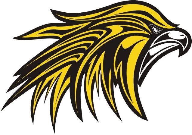 Iowa Blackhawks | American Football Database | Fandom